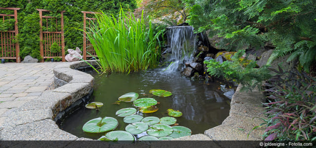 Elemen Taman di Rumah untuk Terapi Kesehatan | kumparan.com