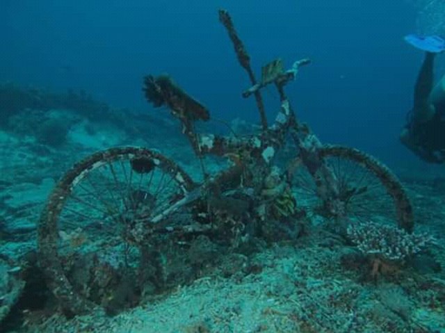 5 Spot yang Wajib Dikunjungi Saat Diving di Gili Meno | kumparan.com