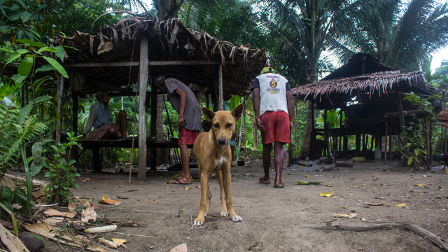 Menengok Kehidupan Suku Tobelo di Belantara Halmahera | kumparan.com