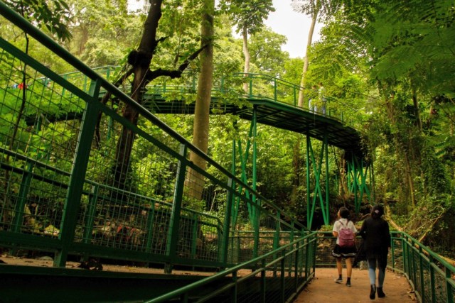 Spot Wisata Romantis di Bandung, Forest Walk Baksil | kumparan.com