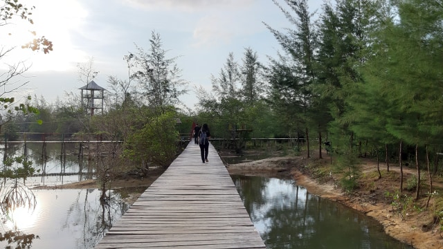 Belitong Geopark Run Dorong Belitung Jadi UNESCO Global Geopark ...
