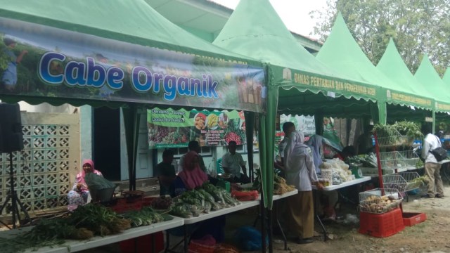 Pasar Tani Aceh Tawarkan Harga Normal Daging Meugang | kumparan.com