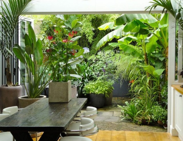 6 Inspirasi Teras Rimbun, Tempat Berkebun Sekaligus Area Rekreasi di ...
