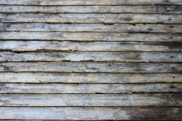 Kuat dan Alami, Kenali Material Bambu, Kelebihan dan Kekurangannya ...