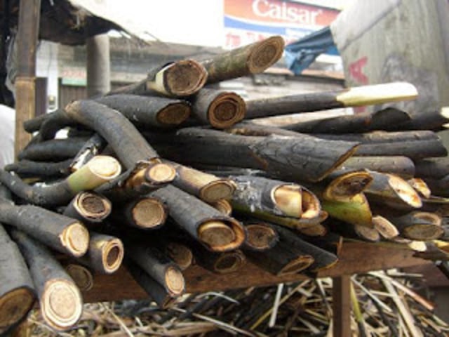 Mencicipi Pakkat, Lalapan Khas Sumatera Utara yang Diburu saat Ramadan ...