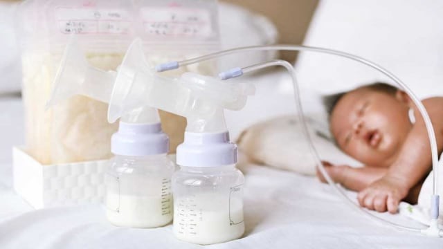 Review Fenucaps Plus dan Lecicaps | kumparan.com