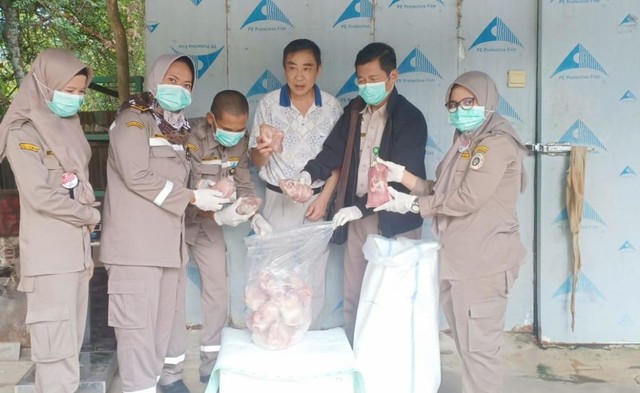Palembang Pacu Ekspor Daging Celeng ke Vietnam | kumparan.com