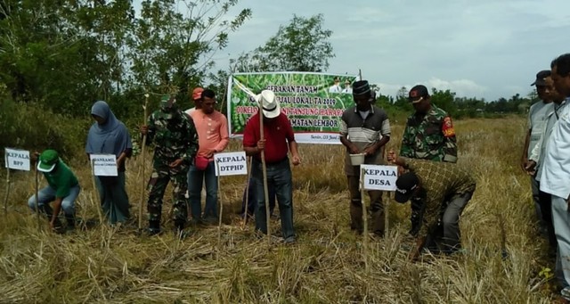 Petani di Desa Siru - Manggarai Barat Tanam 23 Ha Kacang Hijau | kumparan.com