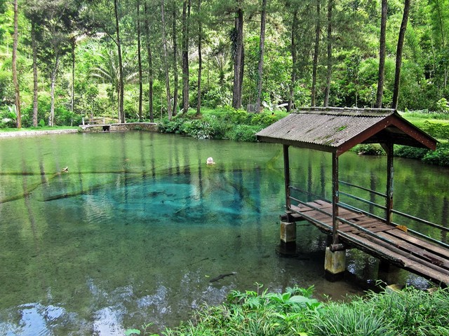 Telaga Rambut Monte, Si Biru Bening nan Memukau dari Blitar | kumparan.com Telaga Rambut Monte, Si Biru Bening nan Memukau dari Blitar | kumparan.com
