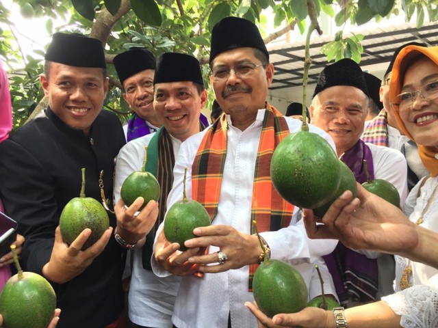 Mengenal Lebih Dekat Buah Alpukat Khas Kampung Cipedak | kumparan.com