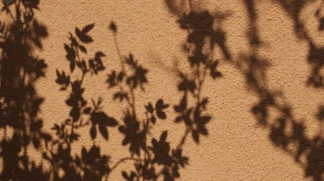 Mengenal Dinding Kamprot, Tampilan Eksterior Rumah Tangguh | kumparan.com