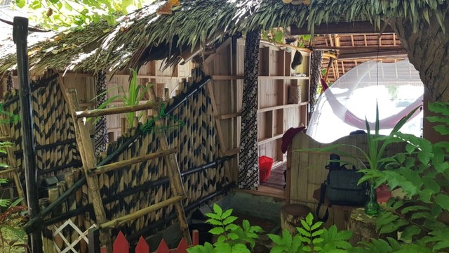 Menjelajahi Keindahan Pulau Meti, Maluku Utara | kumparan.com