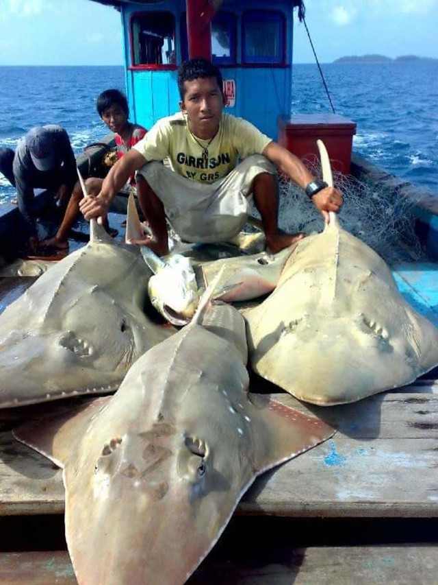 Keindahan Tersembunyi Pulau Tambelan di Bintan, Kepulauan Riau ...