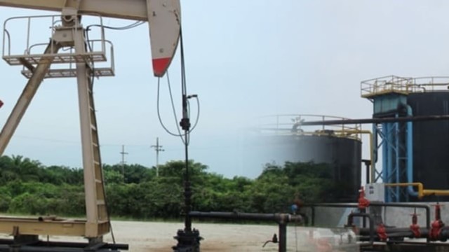 Pengeboran Minyak Ilegal Merambah Kawasan Hutan Raya di Sumbagsel ...