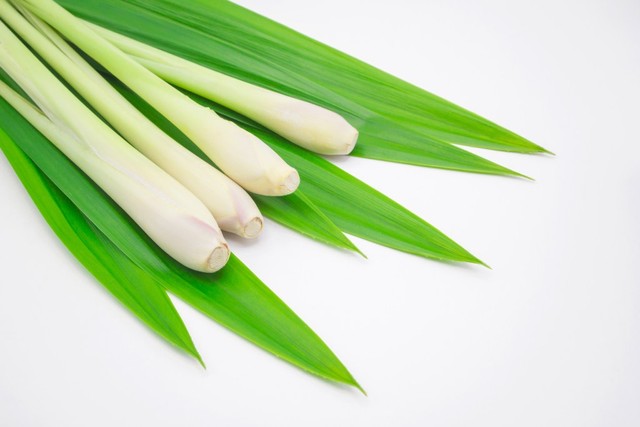 Mengenal 5 Perawatan Tubuh Tradisional Khas Indonesia | kumparan.com