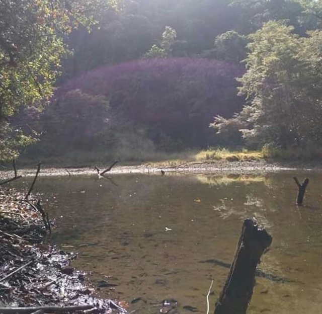 Puncak Ranaka dan Suara Pergam yang Memecah Keheningan | kumparan.com