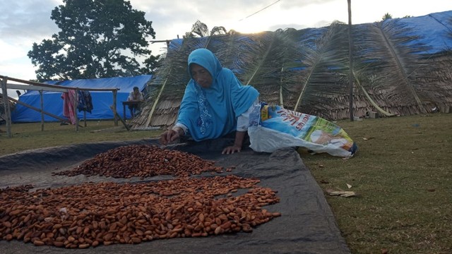 Potret Desa Liboba Hijrah, Tempat Pengungsian Korban Gempa Halmahera ...