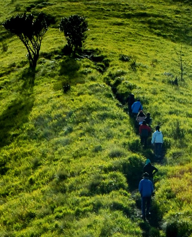 Potret Bertualang di Padang Sabana Gunung Merbabu | kumparan.com