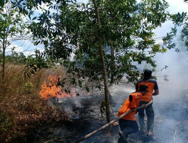 Pangkalan Bun Mulai Dikepung Api Kebakaran Lahan | kumparan.com