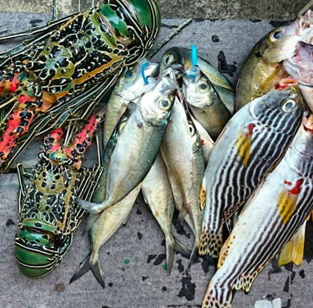 Mengenal Mumu, Tradisi Memasak dengan 'Oven' Tanah di Papua Nugini ...