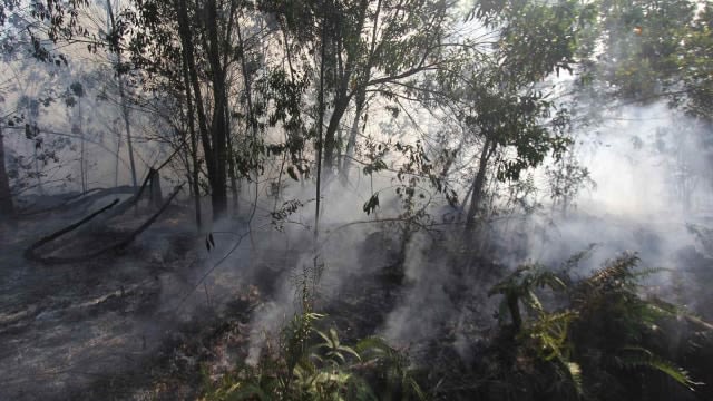 Hutan Gunung Sumbing Terbakar Lagi | kumparan.com