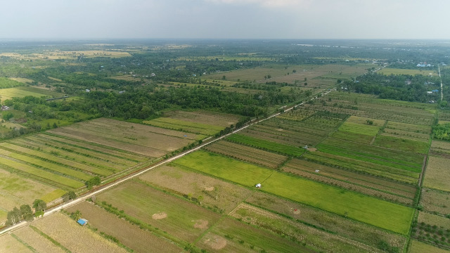 Genjot Produksi Pangan Tahun Ini, Kementan Manfaatkan Lahan Rawa 85.456 ...