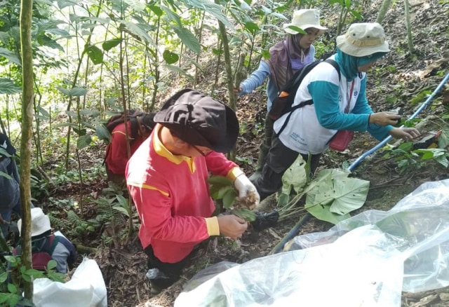 Kebun Raya ITERA Koleksi 196 Tanaman Langka dari Eksporasi Tahura ...