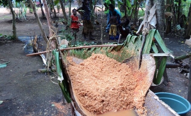 Mosakung: Cara Warga Mamuju Membuat Sagu dari Pohon Rumbia | kumparan.com