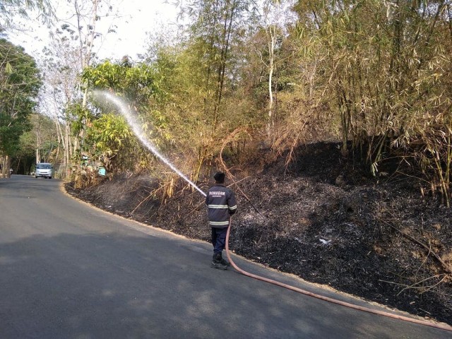 Bakar Ranting Sembarangan, Lahan Bambu di Kuningan Ludes Terbakar ...