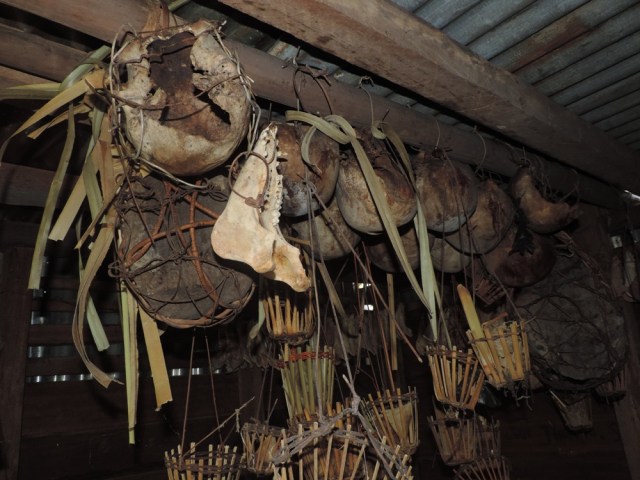 Mengenal Ngayau Tradisi Berburu Suku Dayak