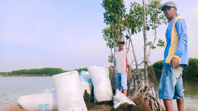 Lahan Kena Abrasi, Petani Rumput Laut di Brebes Masih Dikenai Pajak ...