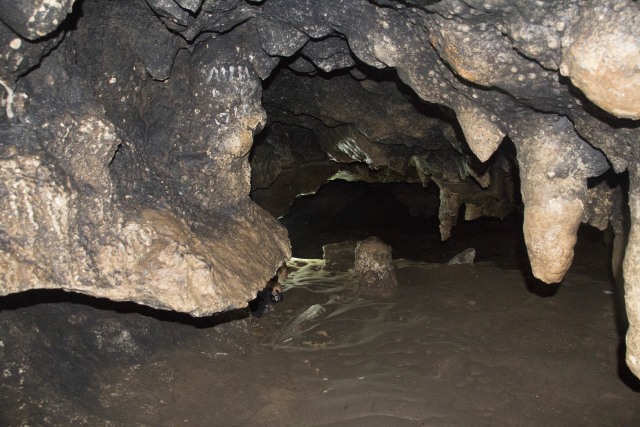 Musik Ignatia Nilu, Berserah pada Kepurbaan Gua Tabuhan Pacitan ...