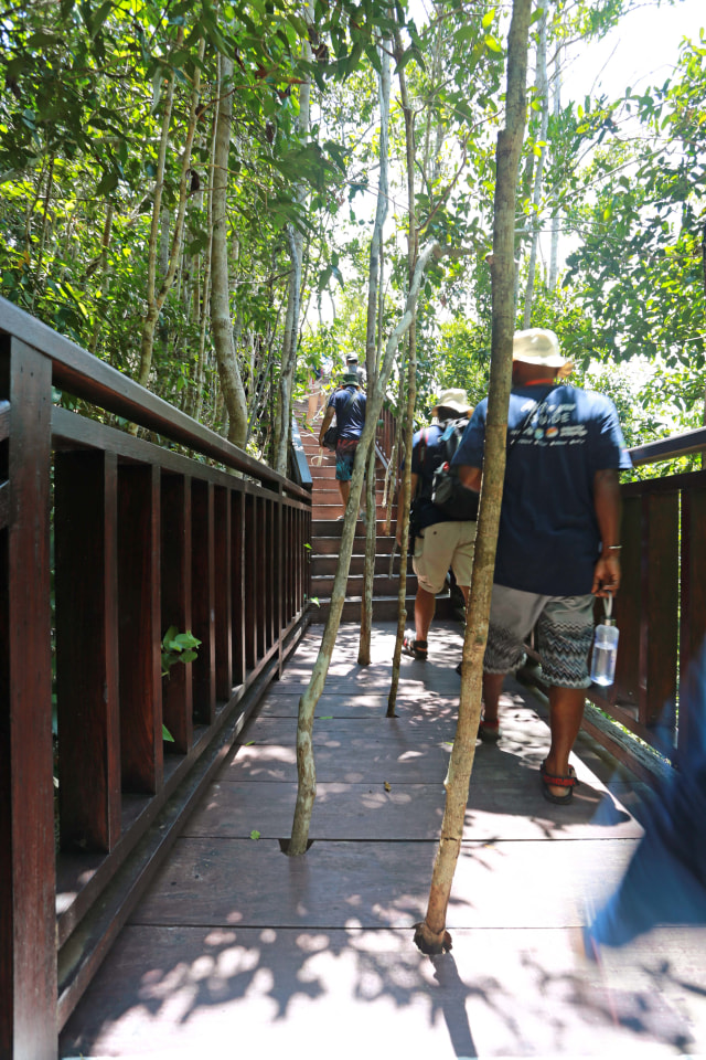 Wujud 'Serpihan Surga' Dilihat dari Puncak Piaynemo, Raja Ampat ...