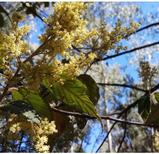 Melihat 4 Musim dan 4 Warna di Perth | kumparan.com