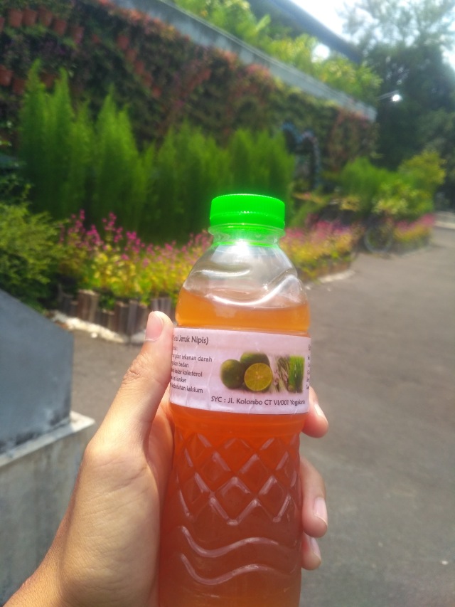 Suster Mariati Sulap Syantikara Jogja yang Gersang Jadi Taman Firdaus ...