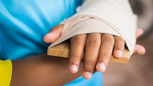 Yang Harus Orang Tua Lakukan Bila Anak Digigit Ular - kumparan.com