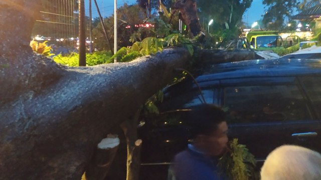 Pohon Tumbang Timpa 3 Mobil di Bandung | kumparan.com