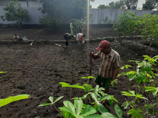 Kisah Petani di Kampung Made Surabaya | kumparan.com
