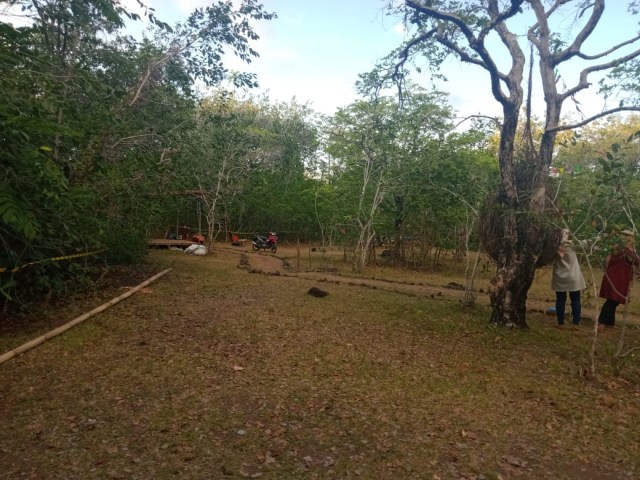 Berburu Senja di Wisata Rumah Pohon Pulo Tareba, Ternate | kumparan.com