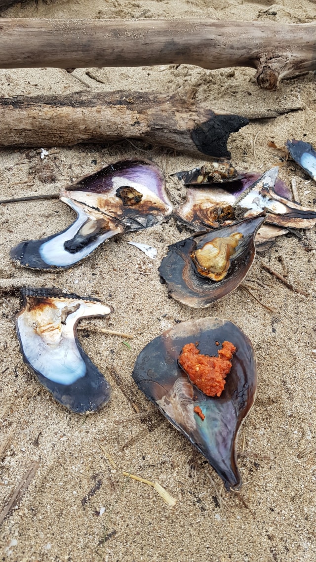 Pesona Pantai Tengke Boro, Pilihan Tempat Berakhir Pekan di Bima, NTB ...