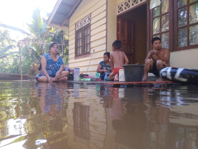 Dilanda Hujan Deras, Banjir Rendam Rumah Warga di Nanga Mahap, Kalbar | kumparan.com