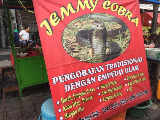 Pedagang Sate Ular di Jakarta Mulai Merana, Terimbas Isu Virus Corona ...