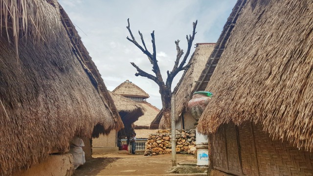 Mengenal Sade, Desa Wisata Budaya Suku Sasak di Lombok, NTB | kumparan.com