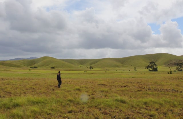 Taman Nasional Rawa Aopa Watumohai yang Memesona | kumparan.com