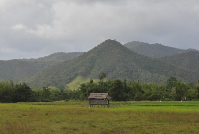 Taman Nasional Rawa Aopa Watumohai yang Memesona | kumparan.com