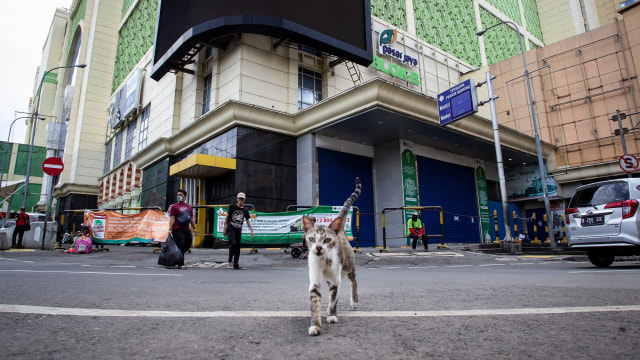 Profil Hercules, Eks Penguasa Tanah Abang yang Kini Jadi Tenaga Ahli Pasar Jaya | kumparan.com