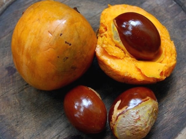 Sirup Tjampolay Khas Cirebon, Kaya Rasa nan Menyegarkan | kumparan.com