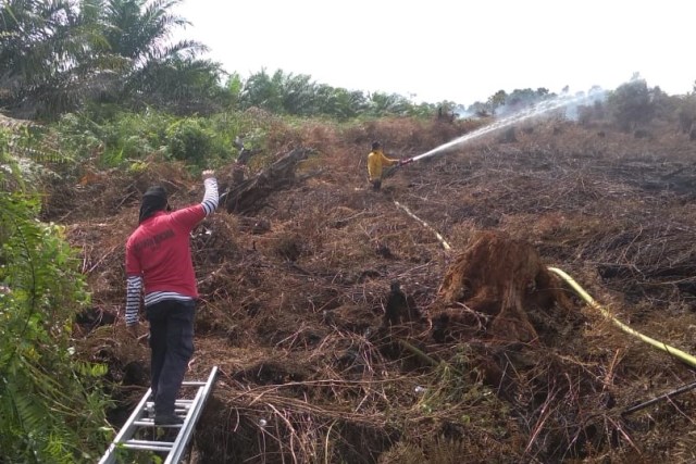 Sudah 5 Hari Kebakaran Lahan Gambut di Aceh Barat Belum Kunjung Padam - kumparan.com