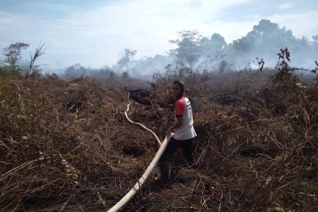Sudah 5 Hari Kebakaran Lahan Gambut di Aceh Barat Belum Kunjung Padam | kumparan.com