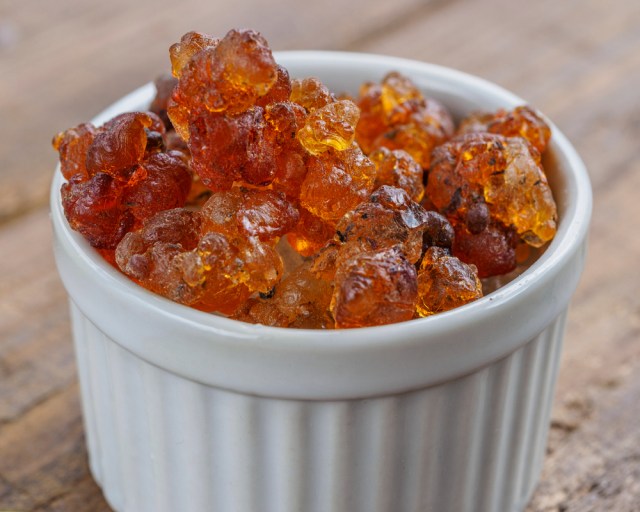 5 Manfaat Peach Gum, Getah Pohon Persik yang Tinggi Kolagen | kumparan.com
